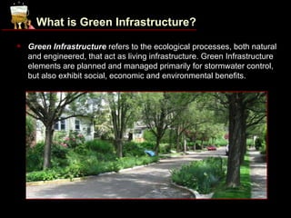 Green infrastructure on the fair | PPT