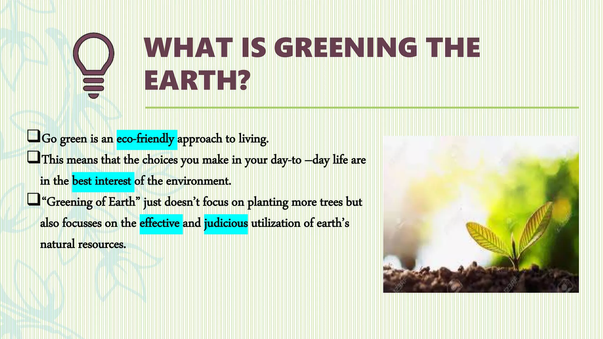 Greening the environment | PPTX