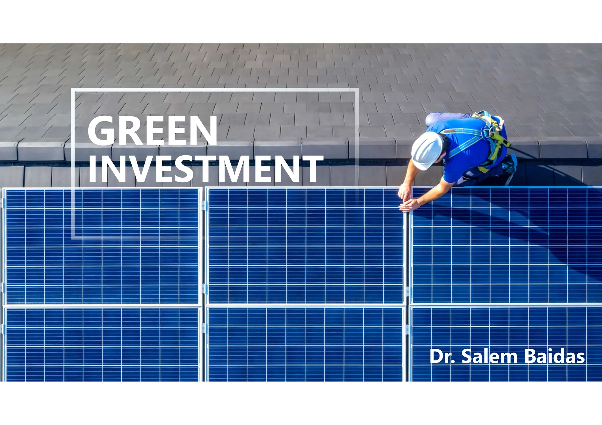 Green Investment | PDF