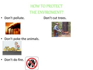 Green is everywhere | PPTX