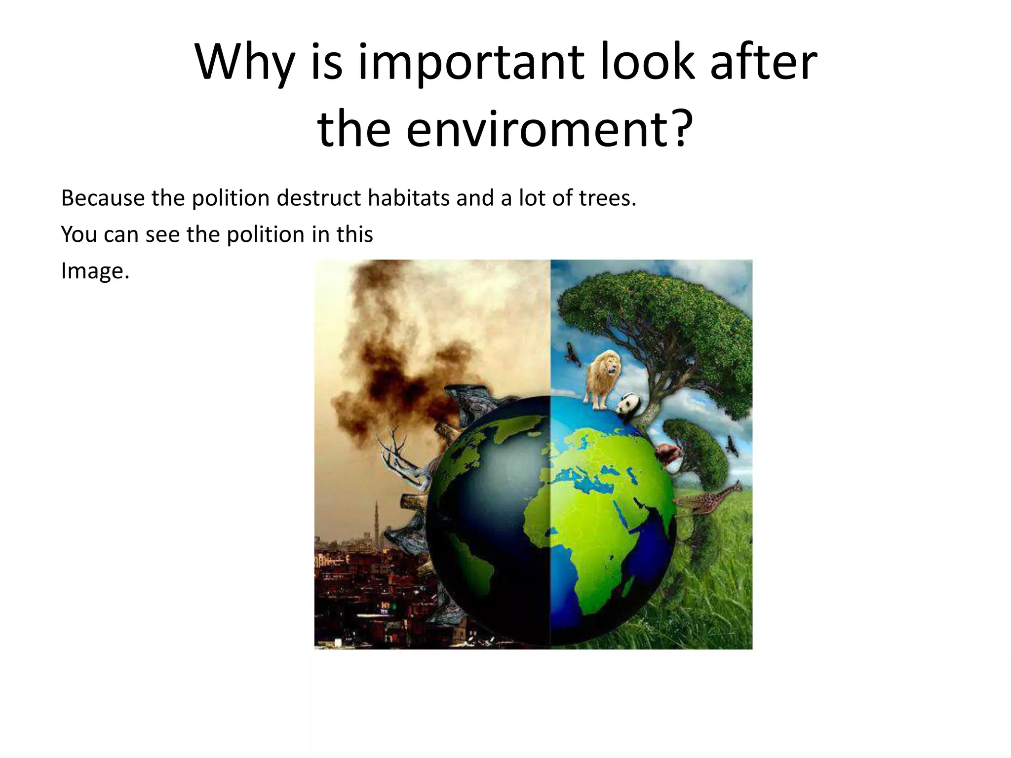 Green is everywhere | PPTX