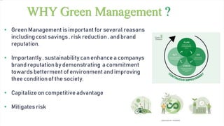 Green Management group 2 (2).ppt bgbtttbtbx | PPTX