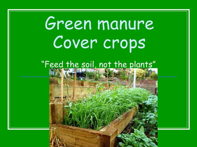 Green manure | PPT | Agriculture | Industries