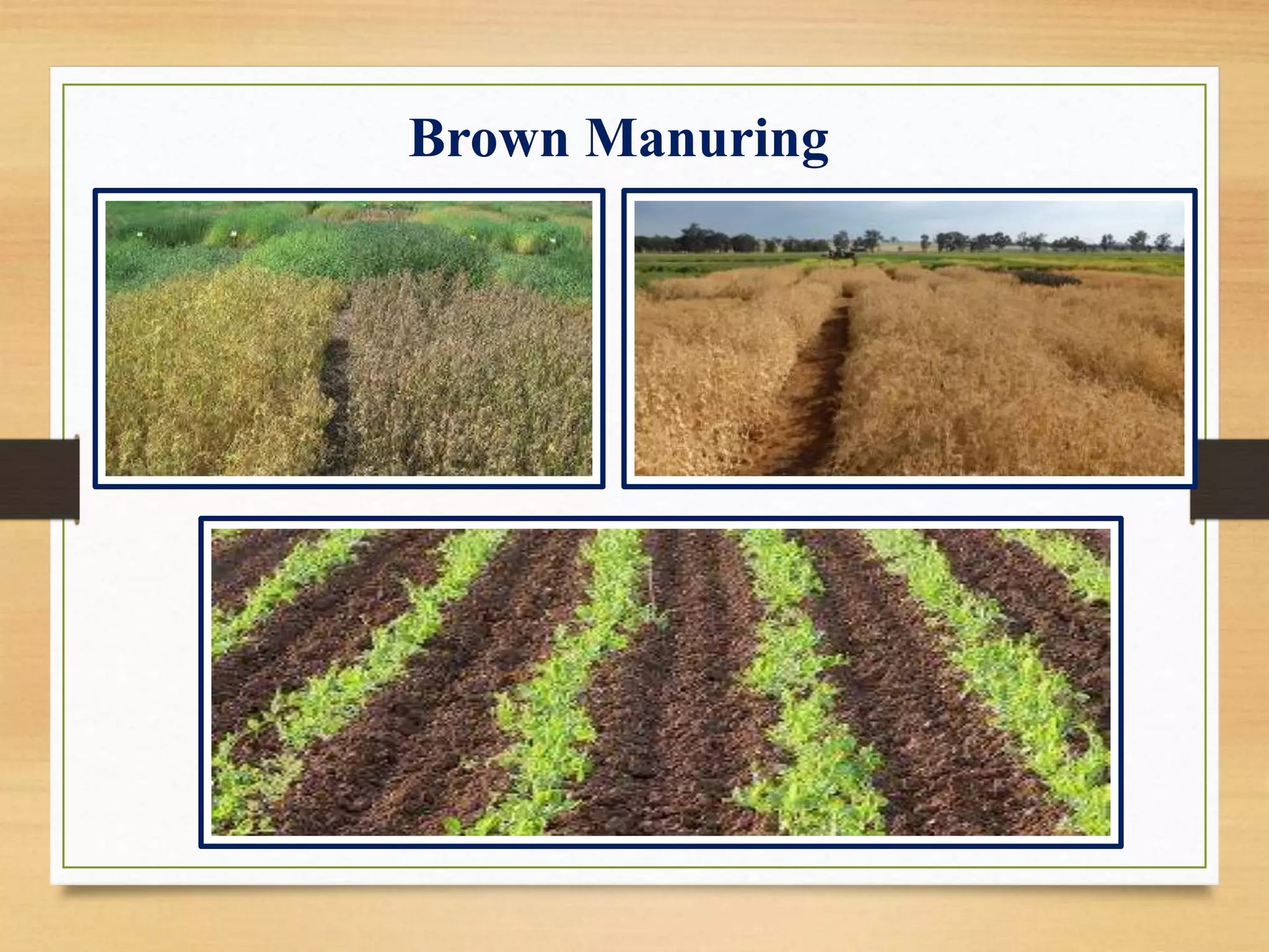 Green manuring | PPT