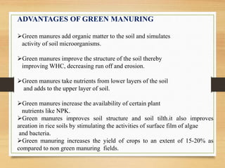 Green manuring | PPT