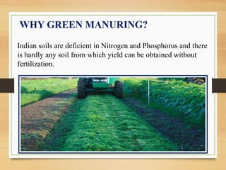 Green manuring | PPT