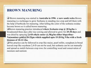 Green manuring | PPT