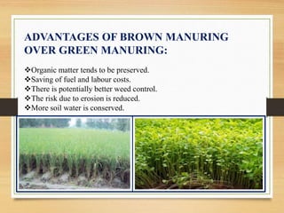 Green manuring | PPT