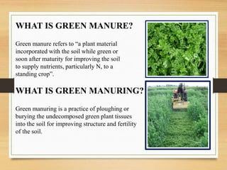 Green manuring | PPT