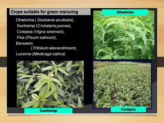 Green manuring | PPT | Agriculture | Industries