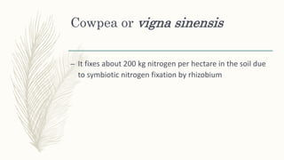 Green manuring,Practices and Crops used in Green manuring | PPTX