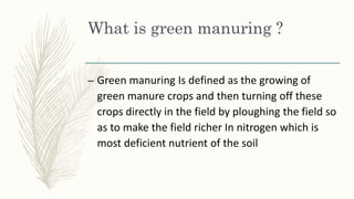 Green manuring,Practices and Crops used in Green manuring | PPTX