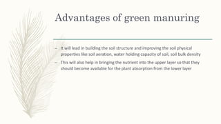 Green manuring,Practices and Crops used in Green manuring | PPTX