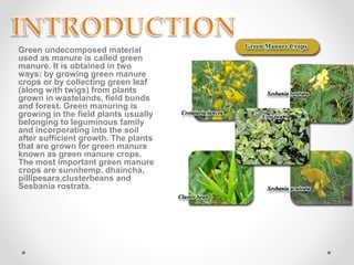 Green manuring | PPTX