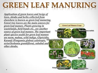Green manuring | PPTX