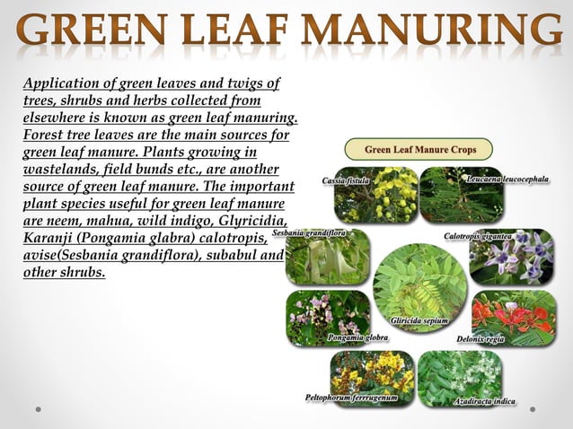 Green manuring | PPTX