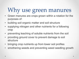 Green manuring | PPTX