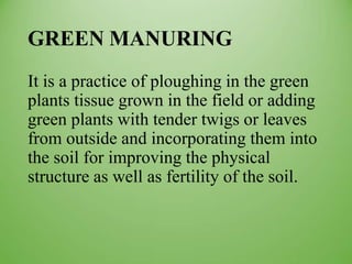 green manuring and its importance in field.pptx