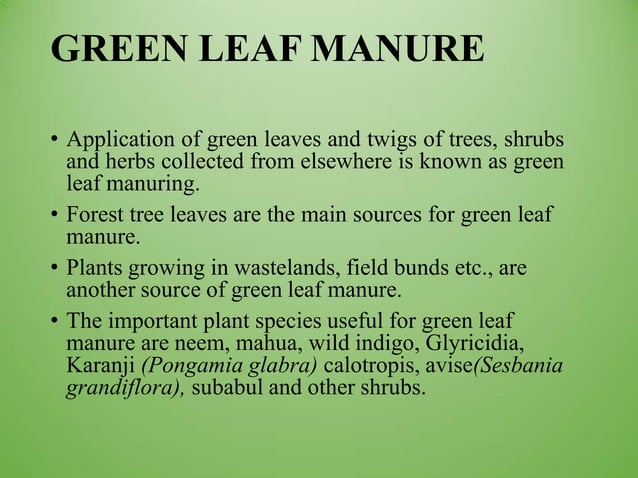 green manuring and its importance in field.pptx