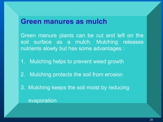 Green Manuring and its effects in crops and cropping system | PPT