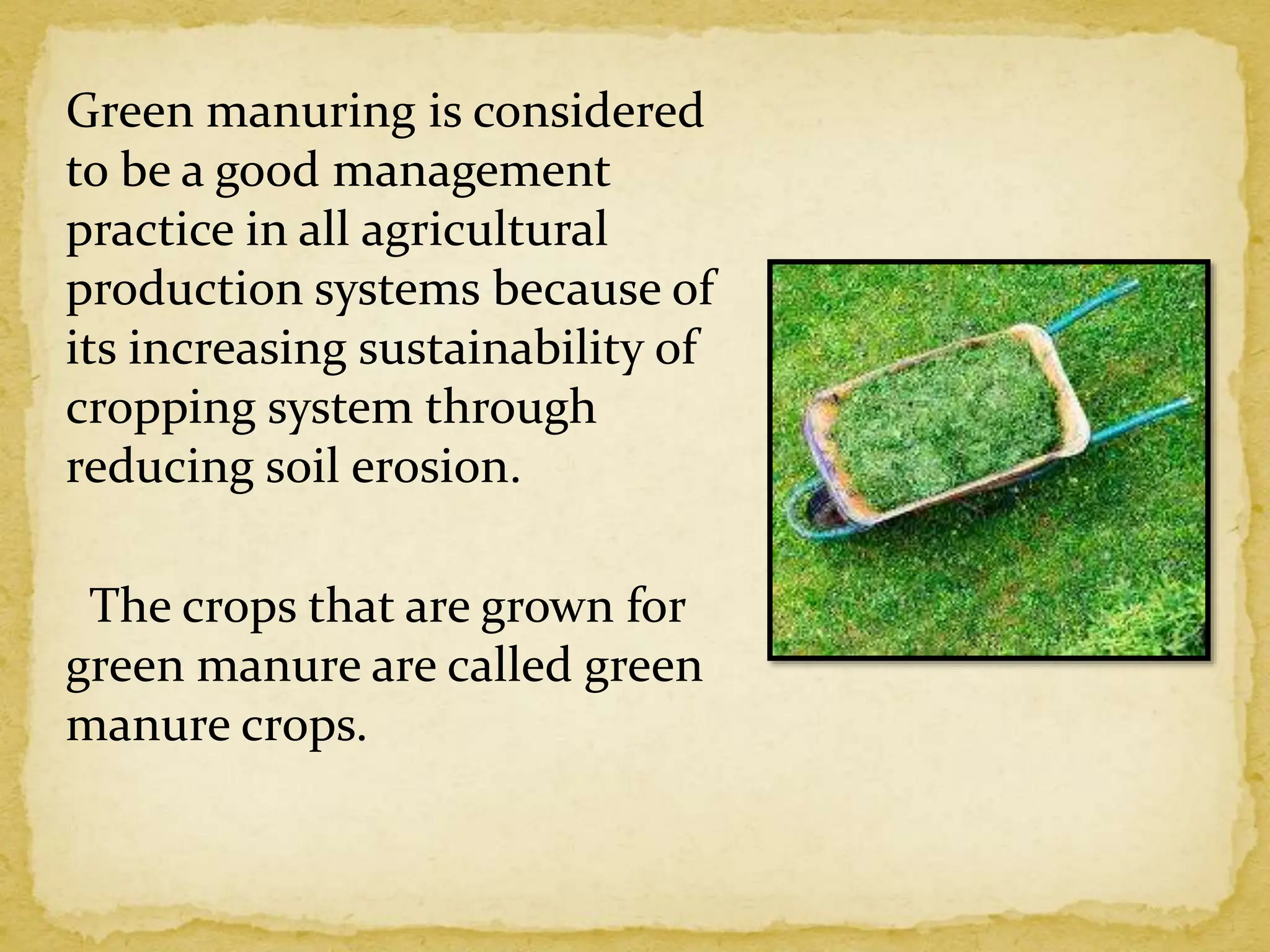 green manuring ppt.pptx