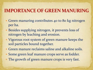 green manuring ppt.pptx