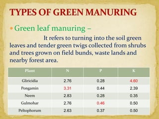 green manuring ppt.pptx