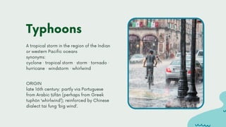 Green Minimalist The Environtment Presentation.pdf