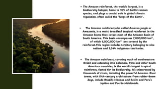 The wonders of amazon rainforest presentation | PDF