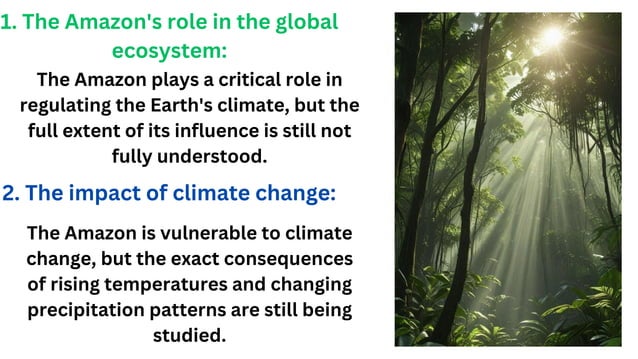 The wonders of amazon rainforest presentation | PDF