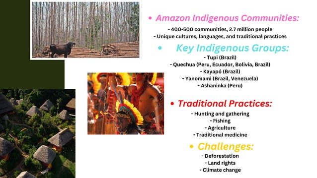 The wonders of amazon rainforest presentation | PDF