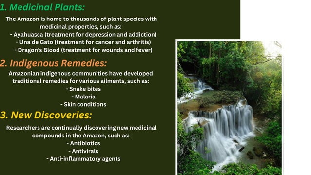 The wonders of amazon rainforest presentation | PDF