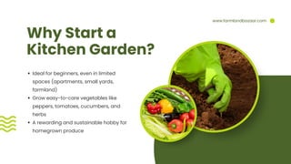 Beginner Kitchen Garden: Simple Steps to Start Growing Your Own ...