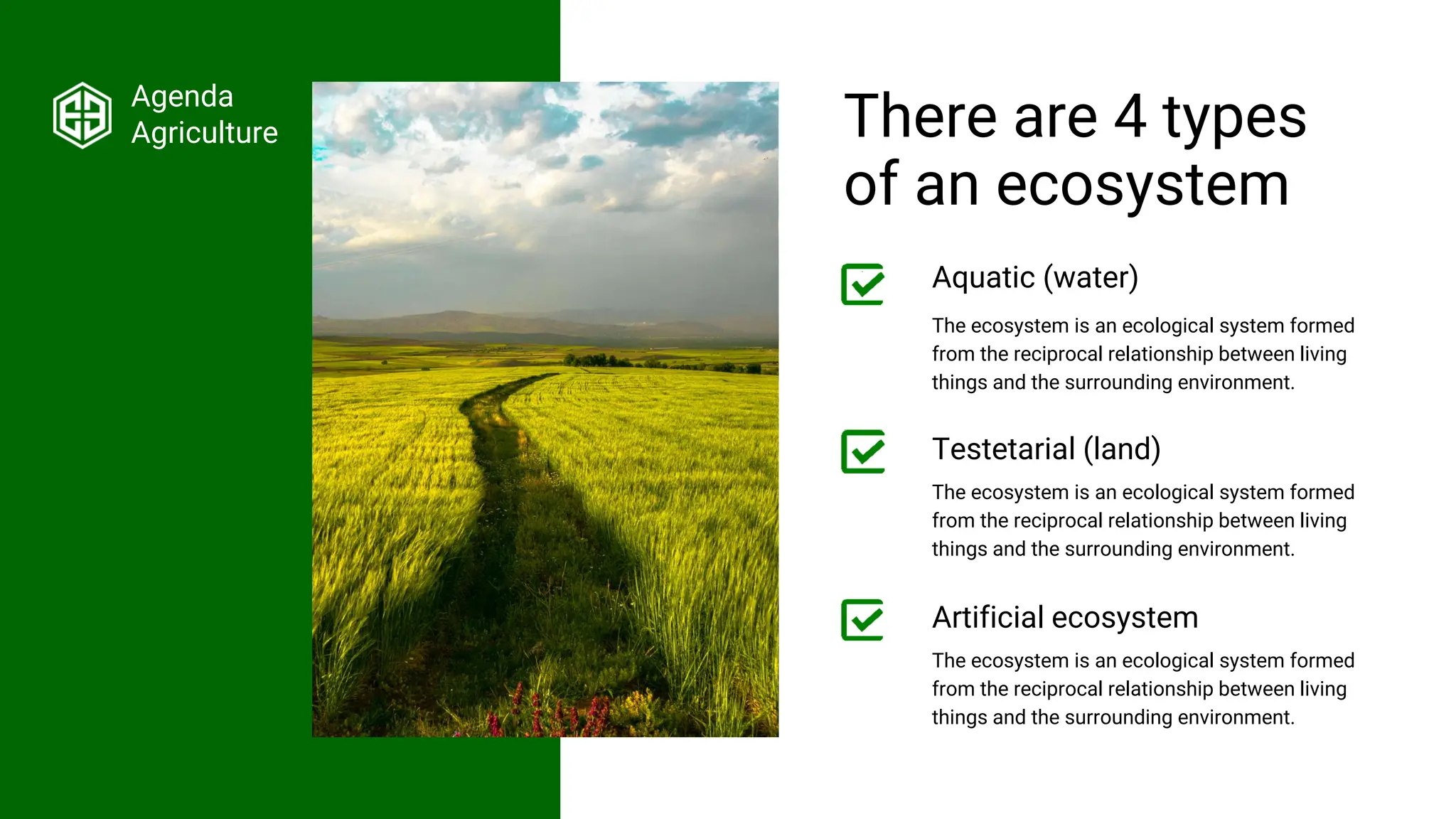 Green Modern Ecology Ecosystem Presentation (1).pptx
