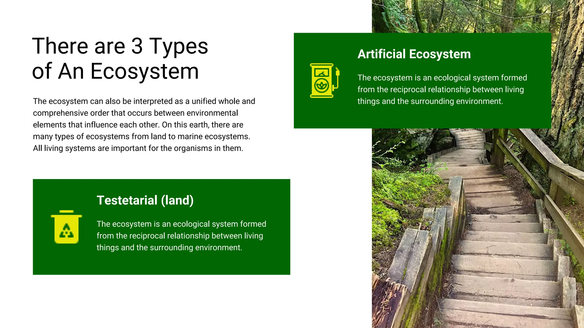 Green Modern Ecology Ecosystem Presentation (1).pptx