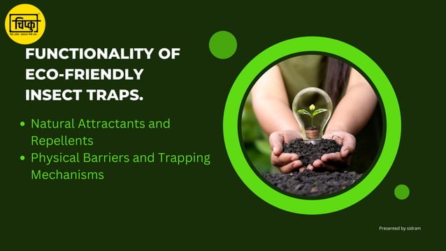 Eco-Friendly Insect Traps for a Greener Future | PDF