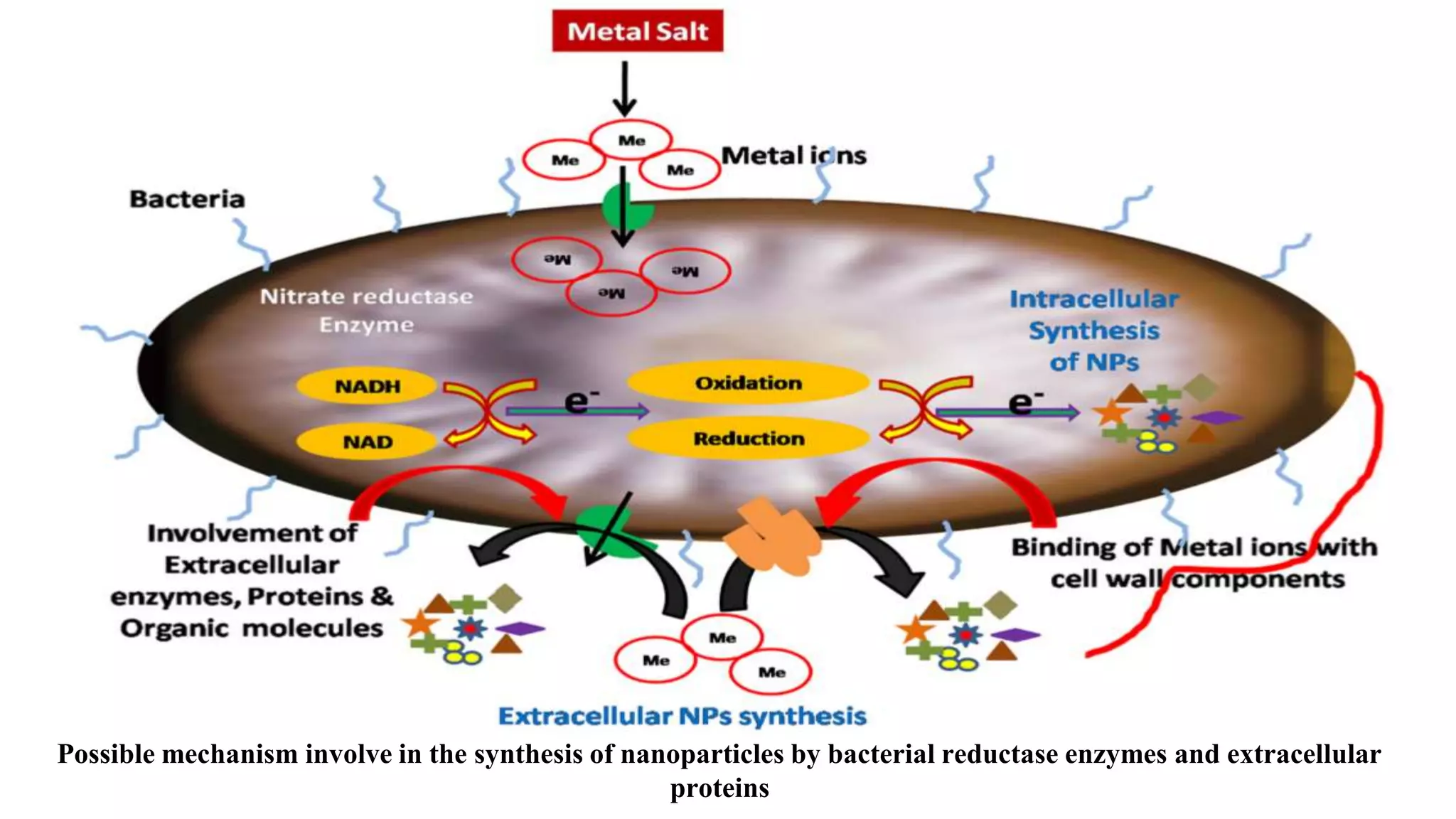 Green nanotechnology & its application in biomedical research | PPTX