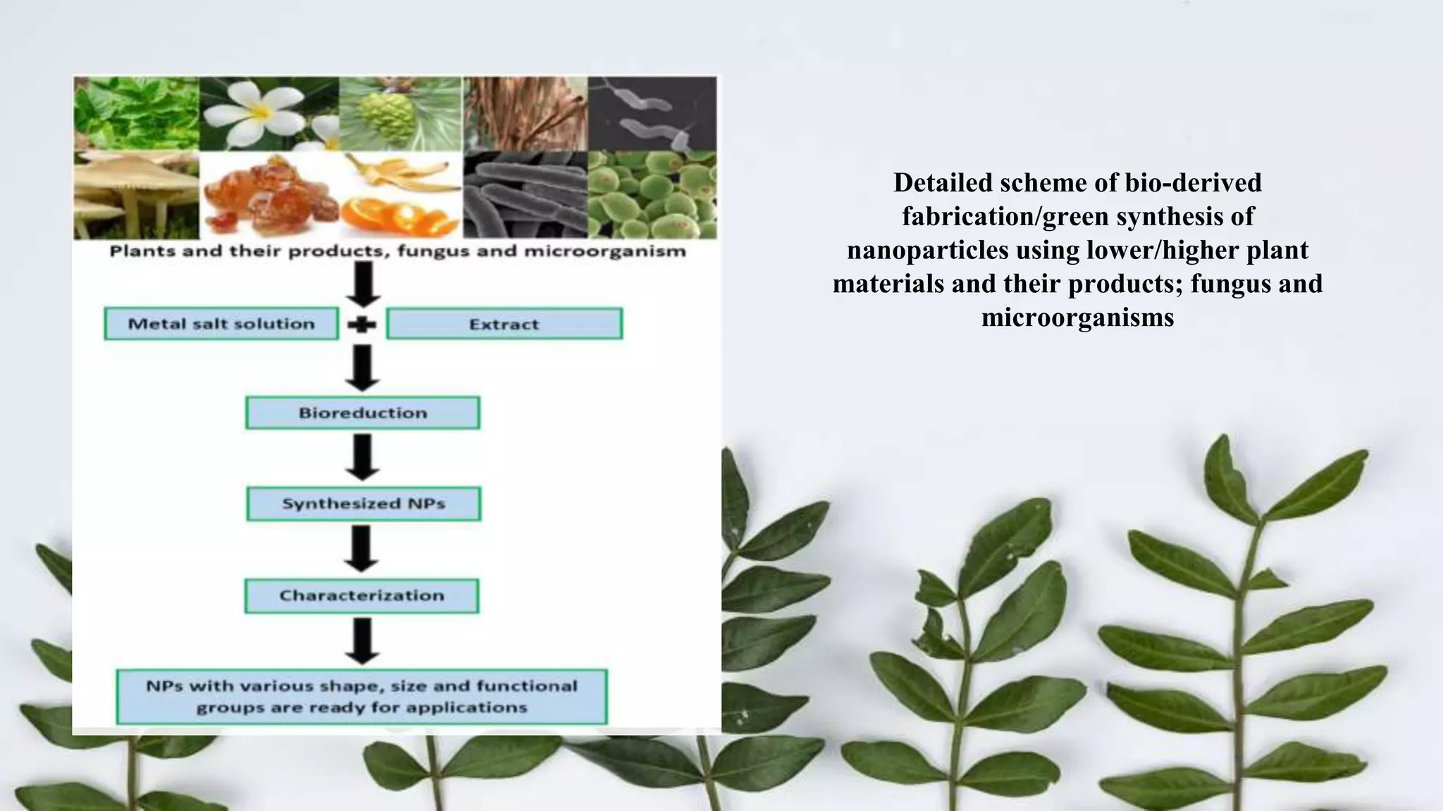 Green nanotechnology & its application in biomedical research | PPTX