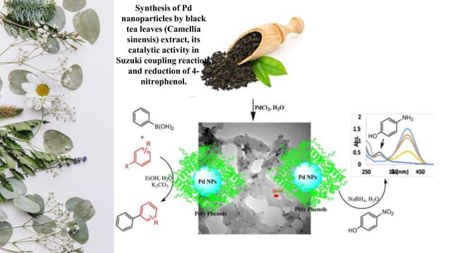 Green nanotechnology & its application in biomedical research | PPTX