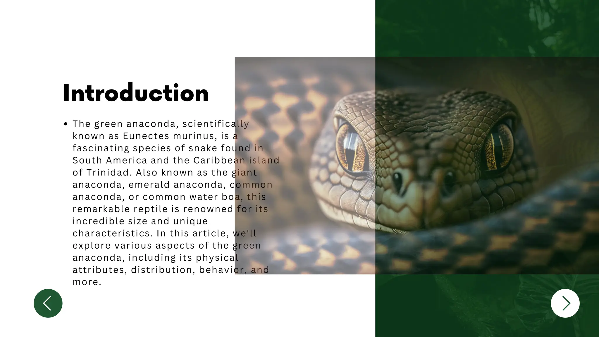 Green Organic Exploring Anaconda.pdf