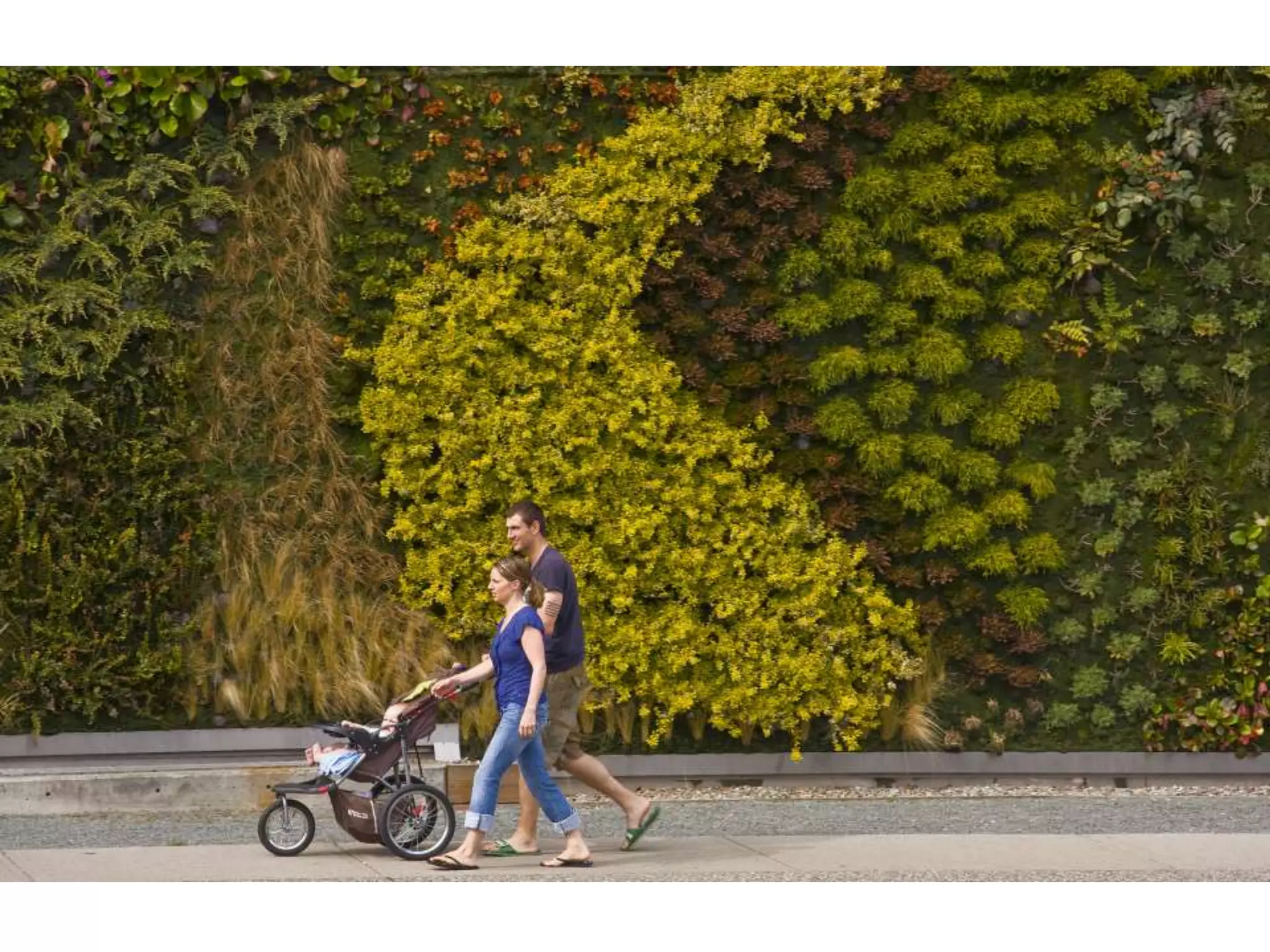 Green over grey presentation | PPTX