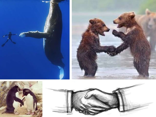 Green over grey presentation | PPTX