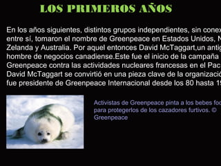 Greenpeace - ONG | PPT