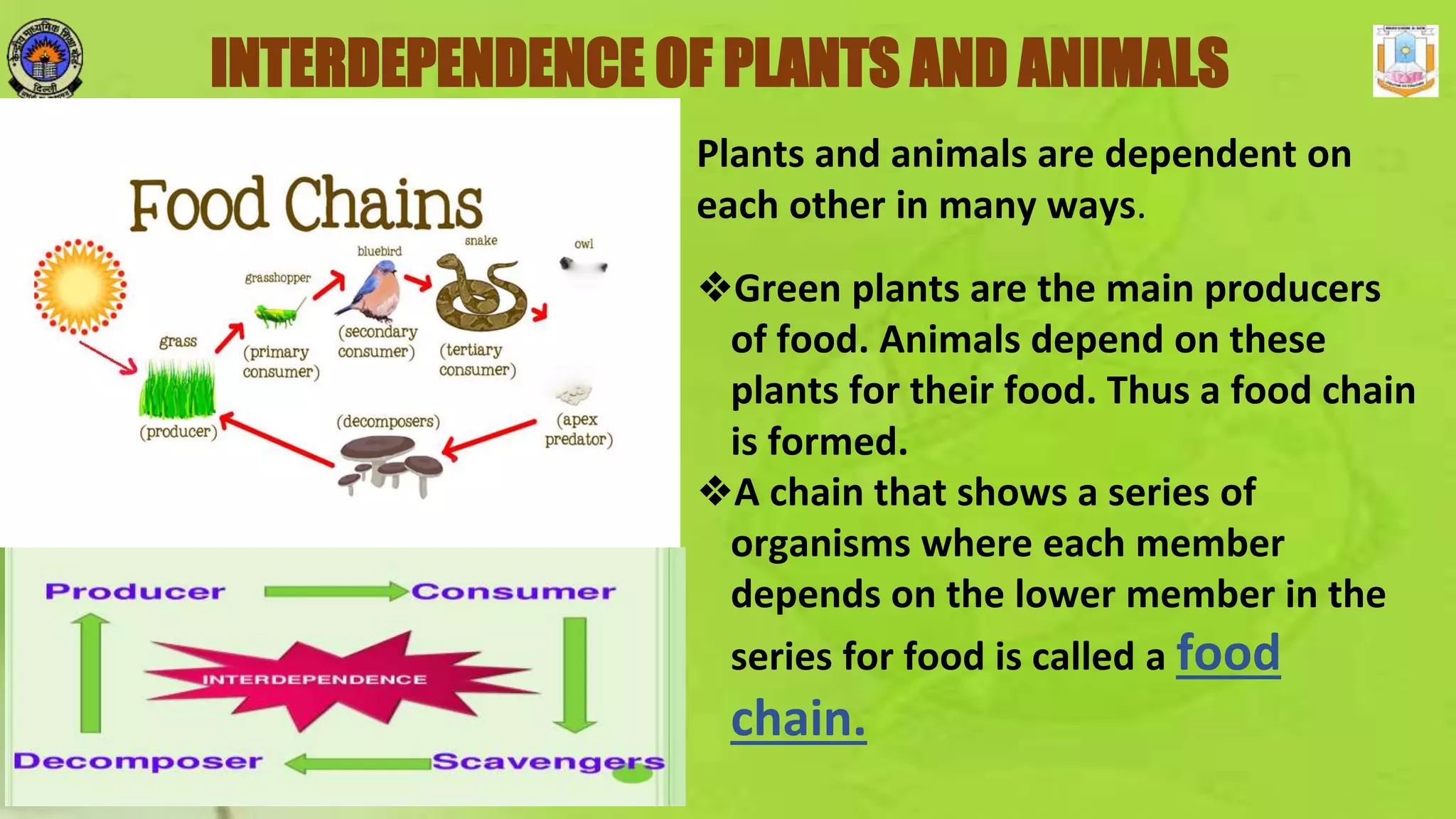Green plants CLASS IV | PPTX