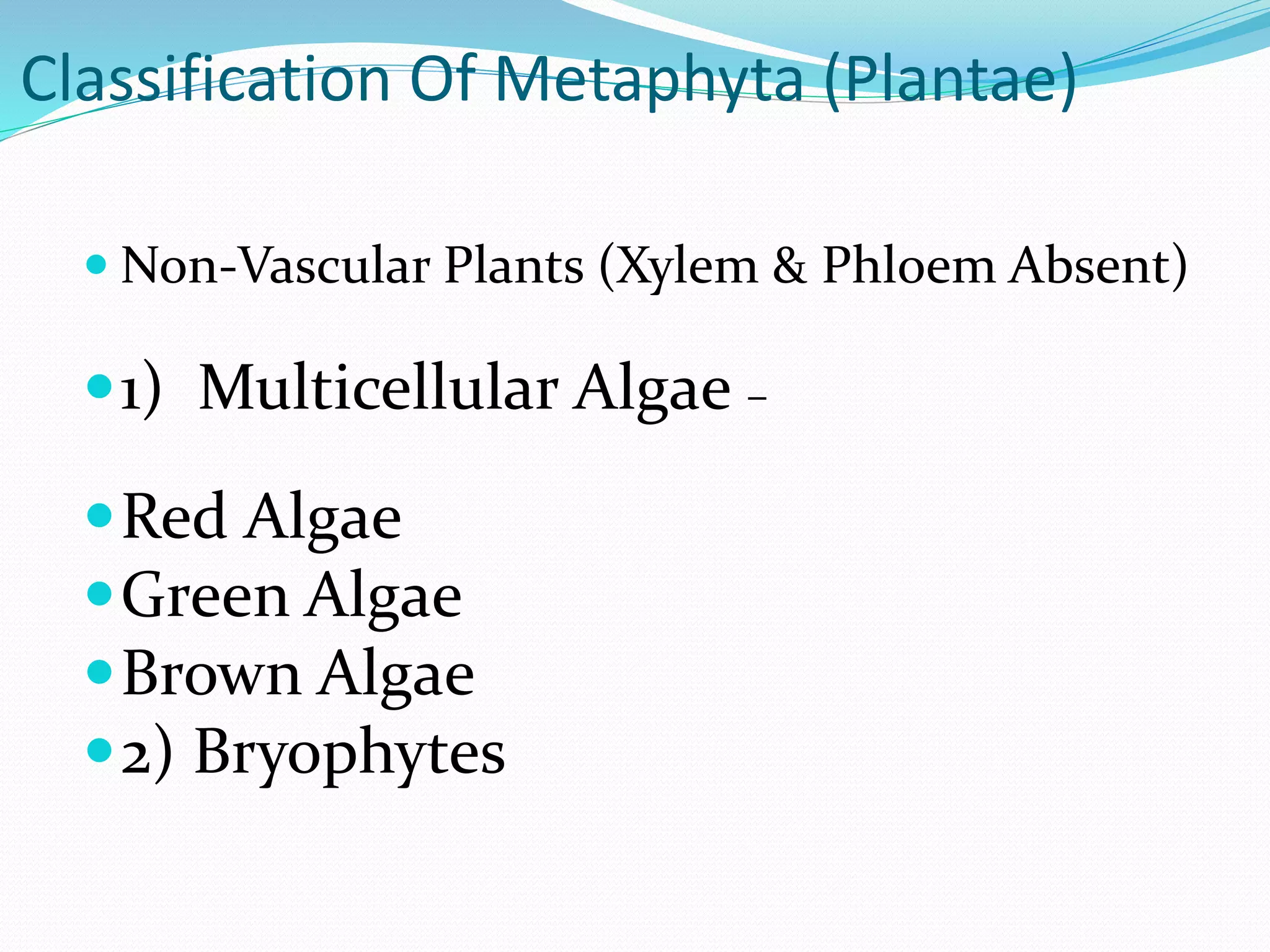 Green plants and chordates | PPTX