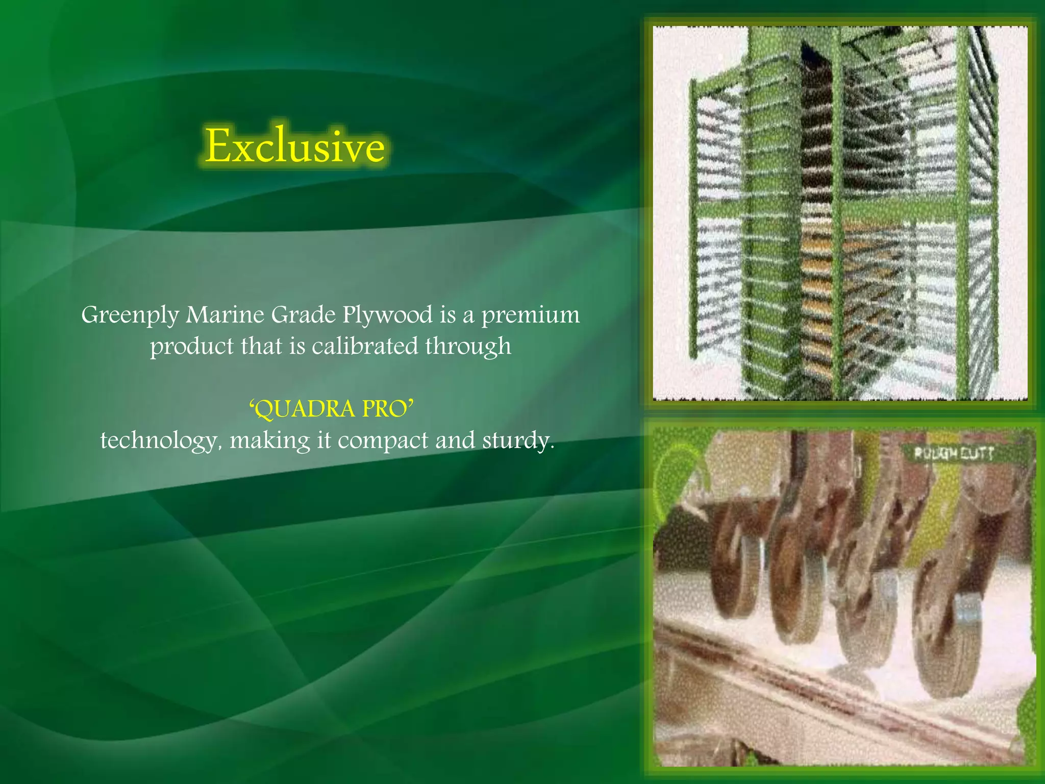 Greenply ppt by richa | PPTX