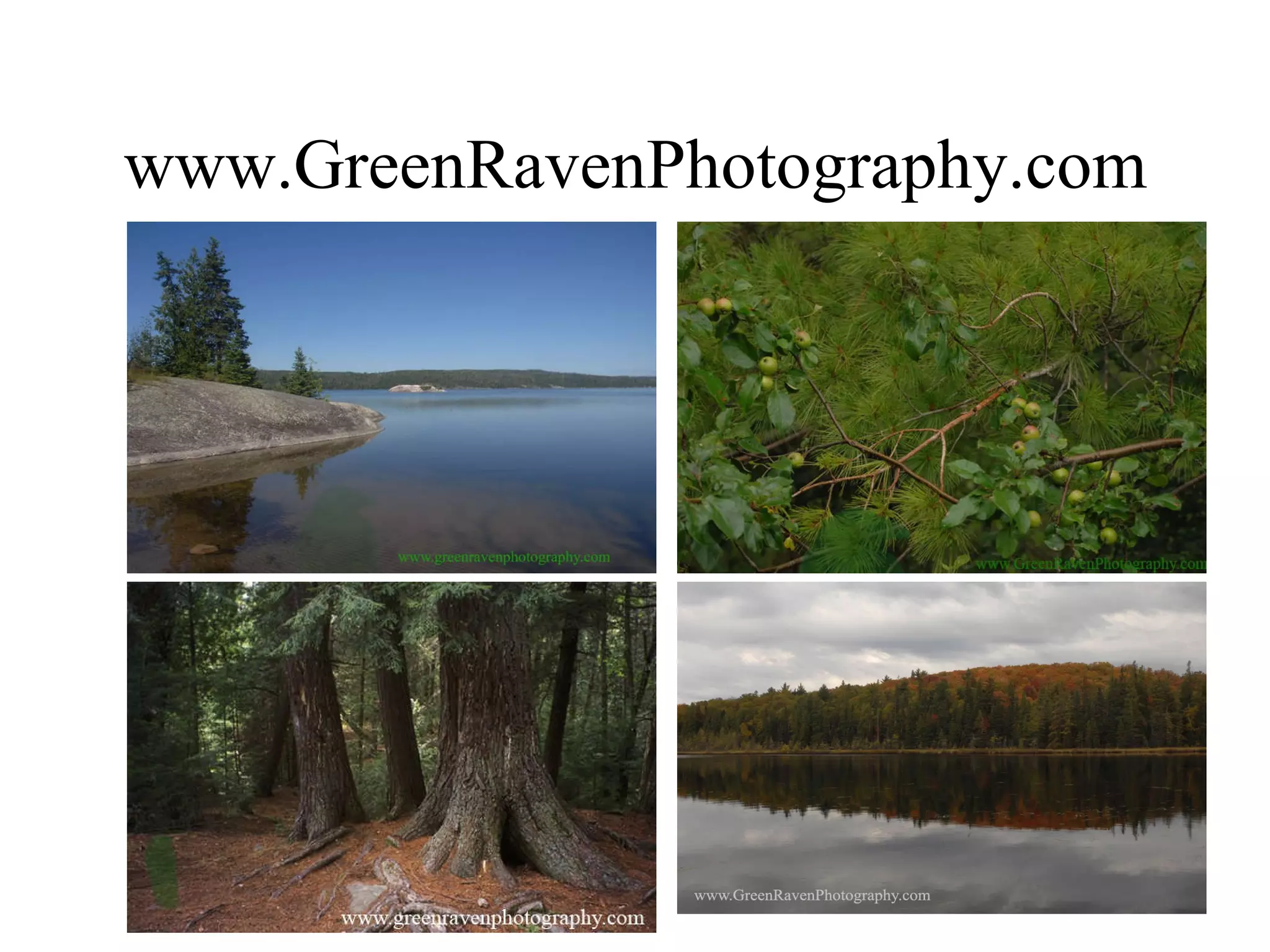 Green Raven Photography | PPT