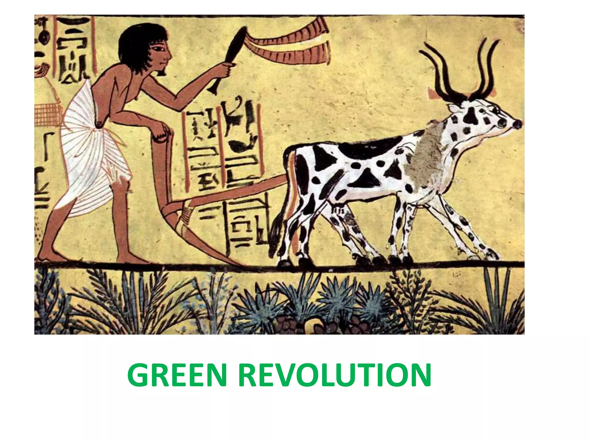 Green revolution | PPTX