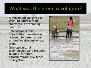 Green Revolution.pptx brief explanationOf green revolution | PPT