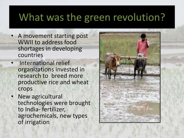 Green Revolution.pptx brief explanationOf green revolution | PPT